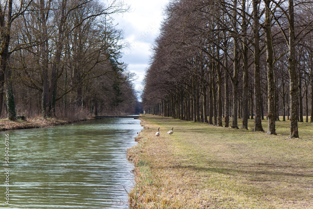 Artificial river channel.Man-made water channel.Ducks walk in the park ...