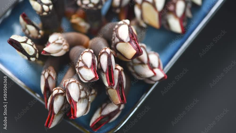 Barnacles, goose neck barnacle, percebes, gallician barnacles ...