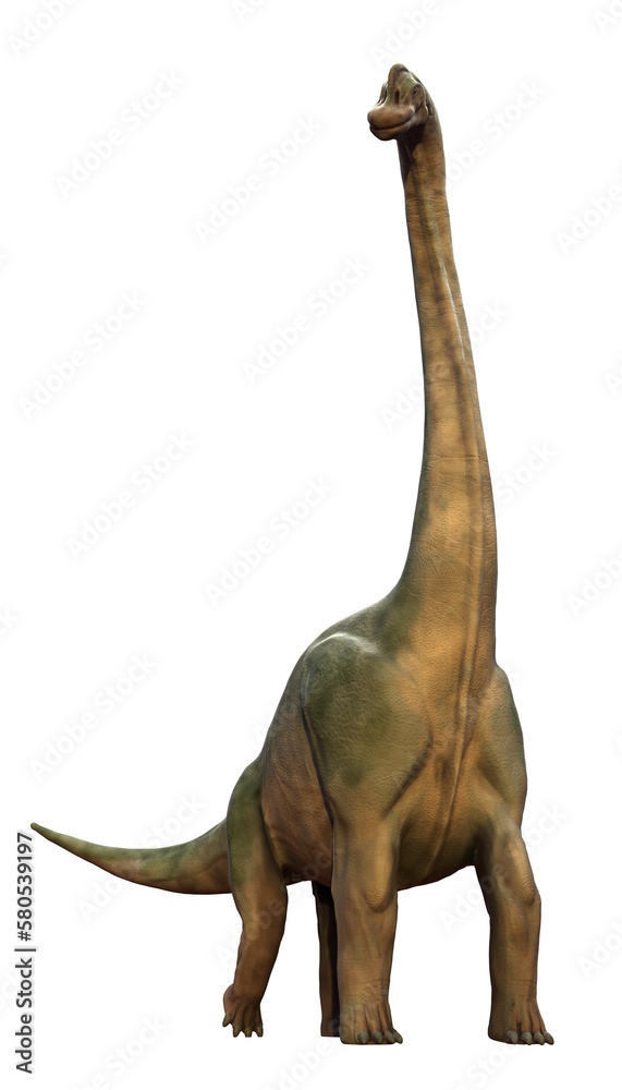 Brachiosaurus altithorax, prehistoric animal from the Late Jurassic ...