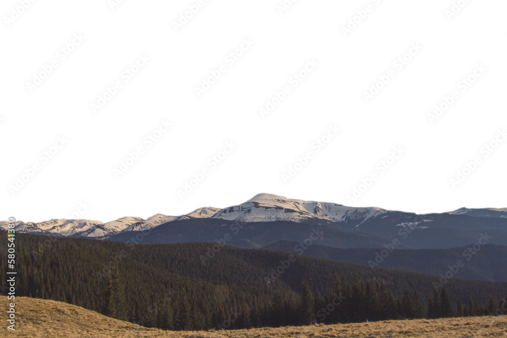 Pine forest hills with peaceful mountains isolated PNG photo with ...