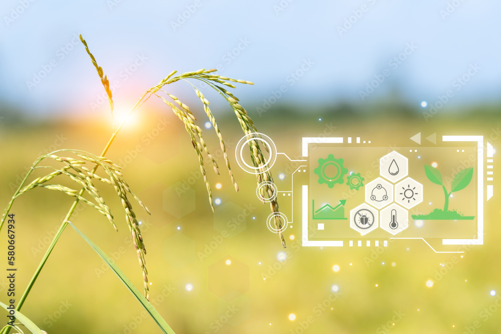 Smart farm digital icon and futuristic AI data infographic of Landscape ...