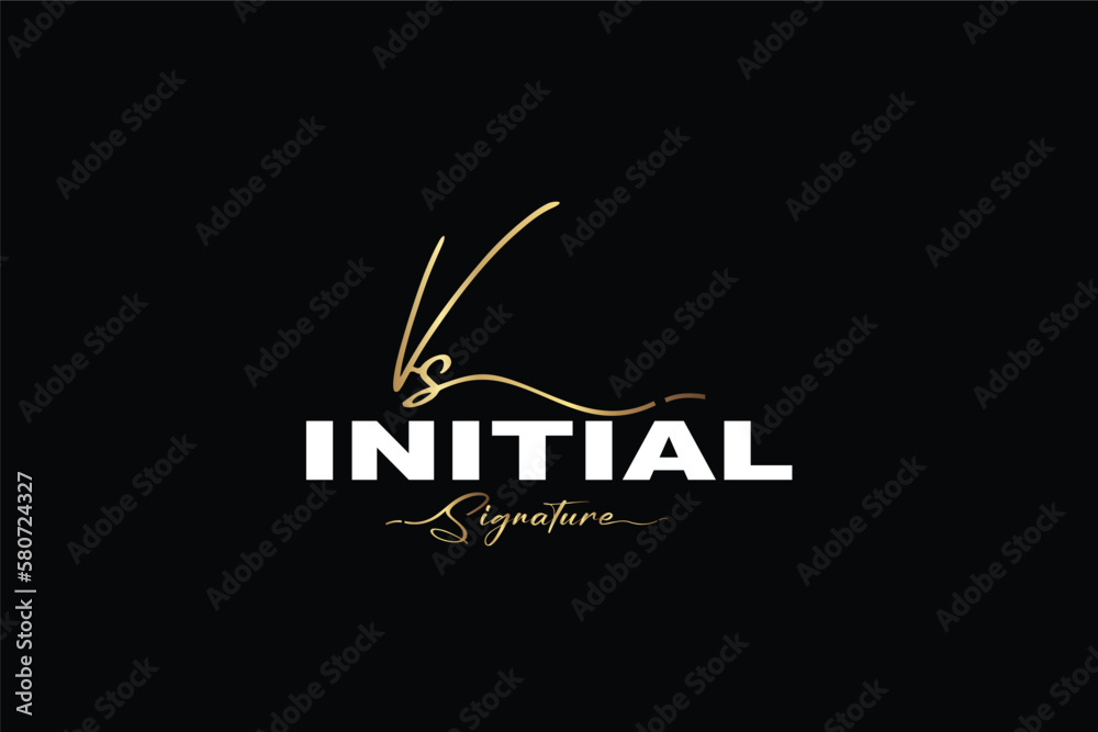 Initial V and S Logo Design in Elegant Gold Handwriting Style. VS ...