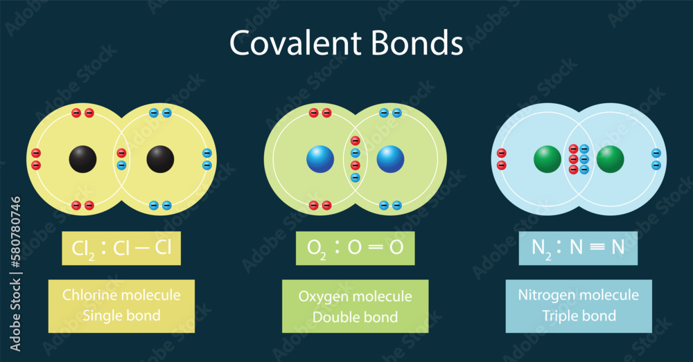 Vetor de illustration of chemistry, covalent bond is a chemical bond ...