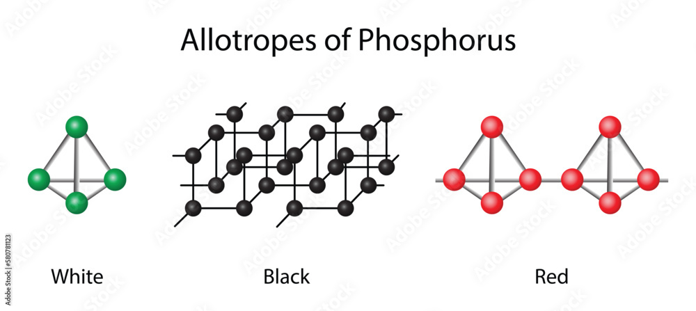 illustration of chemistry, Allotropes of phosphorus are different ...