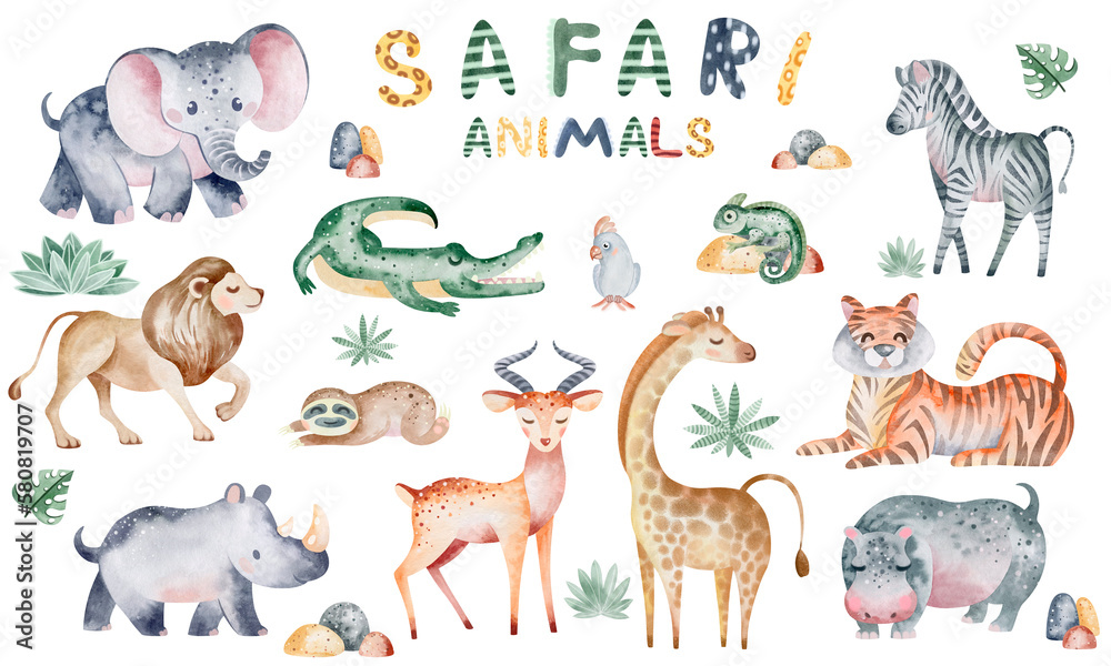 Beautiful tropical watercolor illustrations of animals, plants, zebra ...