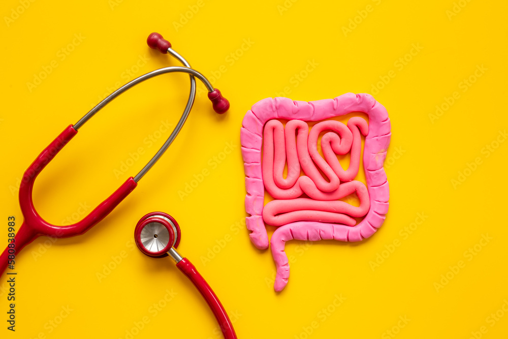 Human intestines colon organ shape. Digestive tract problems colitis or ...