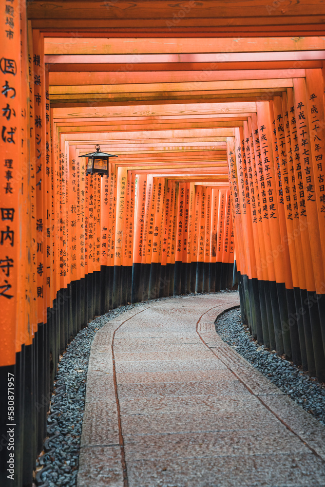 Beautiful Pathway of Red Tori Gates in a Japanese Temple in Kyoto Stock ...
