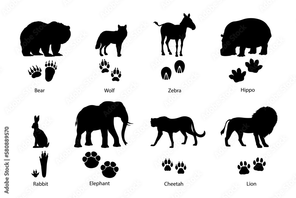 Animal footprints and silhouettes. Grizzly bear, wolf, zebra and ...