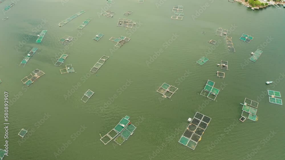 Fish farm with cages for fish and shrimp on the lake Taal, top view ...