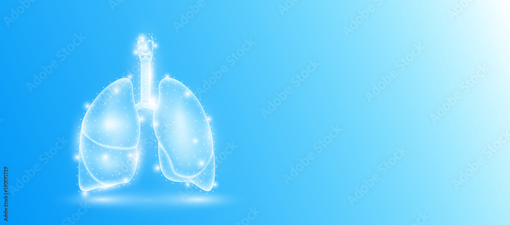 Human lung anatomy form line triangles connecting on blue background ...