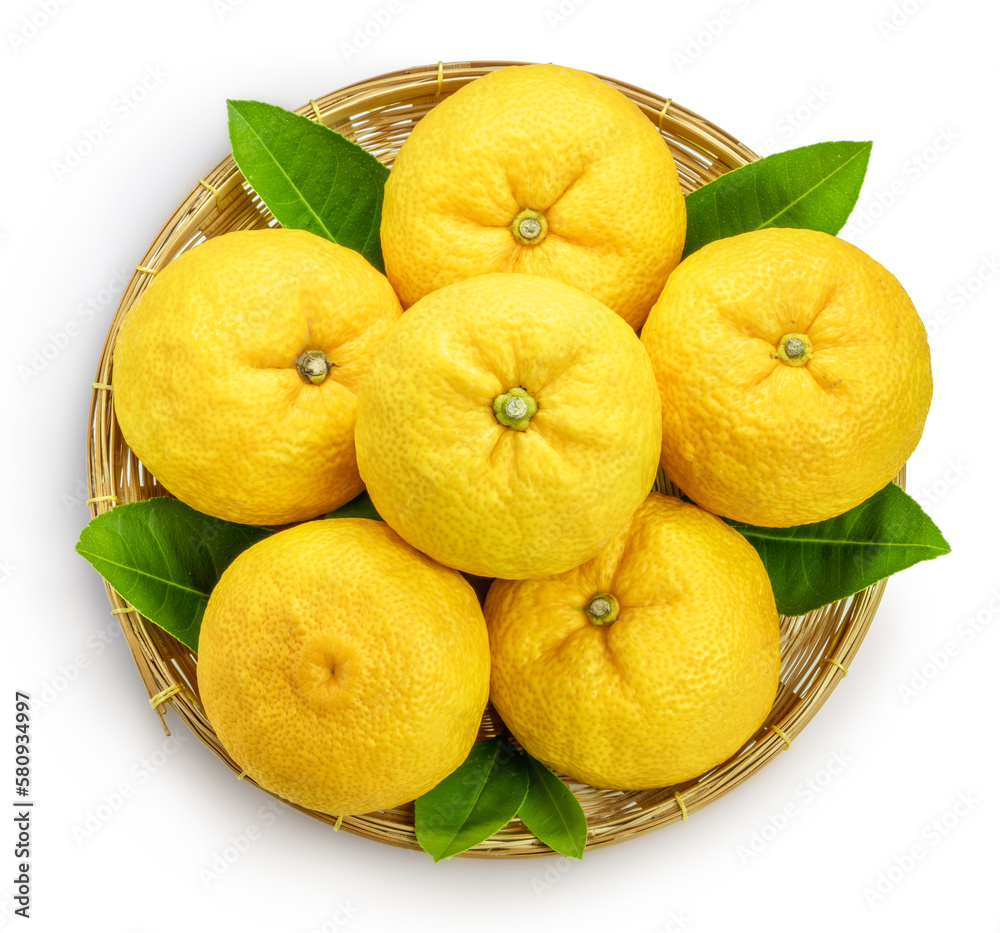 Fresh Sweet Yuzu Orange fruit isolated on white background, Kochi ...