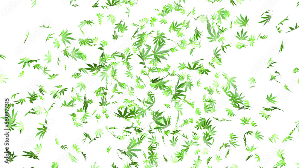 Cannabis leaves on a transparent background in PNG format. Effect made ...