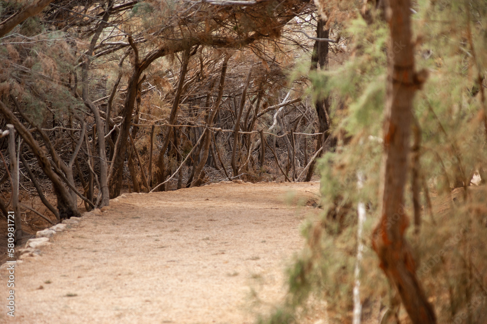 Foto de Jordan. Wadi al-Harar - place of baptism of Jesus Christ in ...