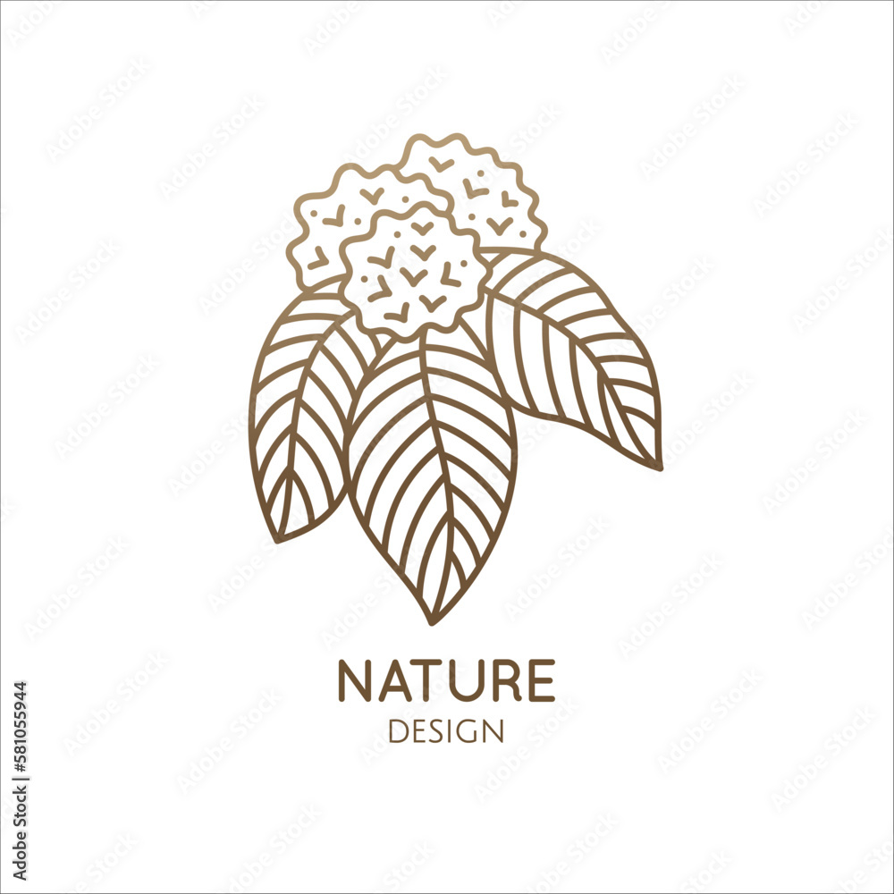 Flower logo of hydrangea. Floral emblem of hydrangea with ...