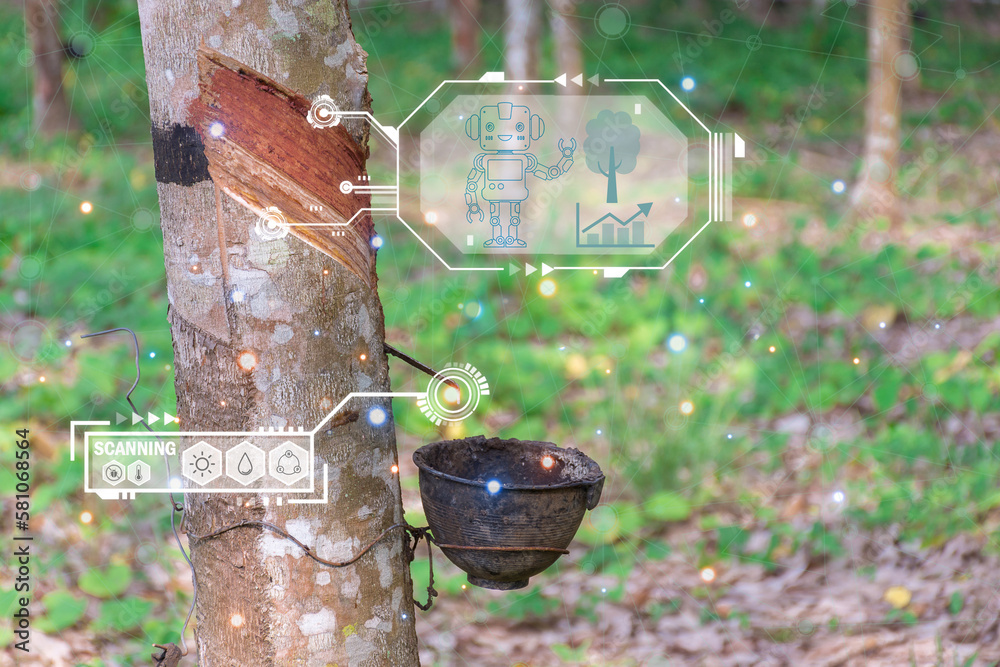 Smart farm digital icon and futuristic AI data infographic of Rubber ...