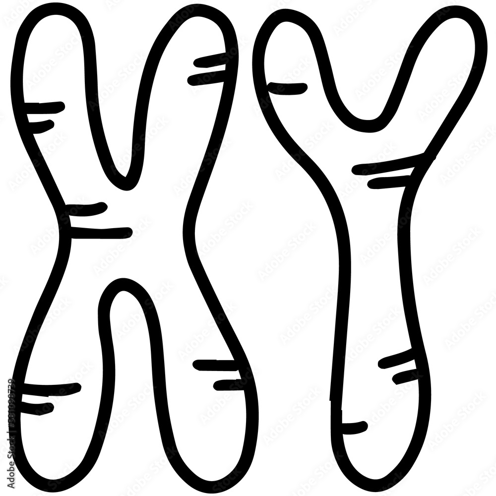 XY chromosome icon in cartoon linear doodle style Stock Illustration ...