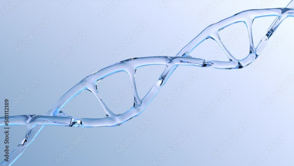 human dna structure with glass helix slowly rotate, deoxyribonucleic ...