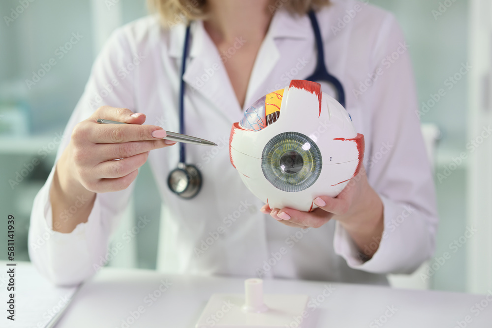 Female doctor points with pen at anatomical model of human eye model ...