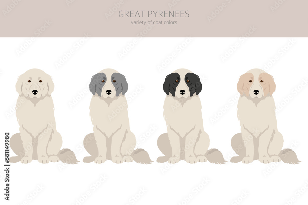 Great Pyrenees clipart. Different poses, coat colors set Stock Vector ...