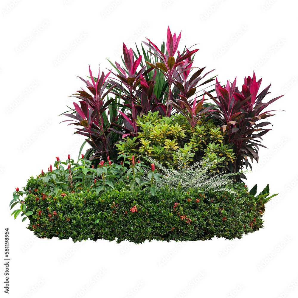 Tropical landscaping garden shrub with various types of plants, bush of ...