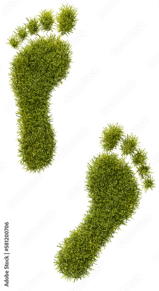 Footprints as patches of grass. Carbon footprint concept. Preserving ...