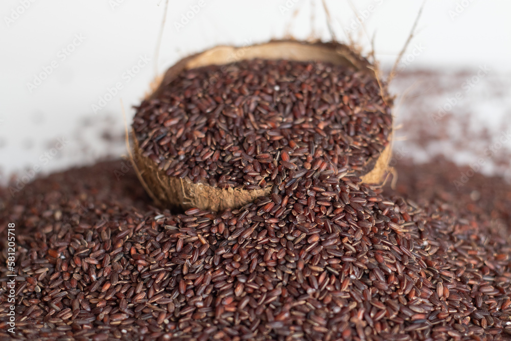 Poongar rice. Indigenous rice from Tamilnadu, the southern state of ...