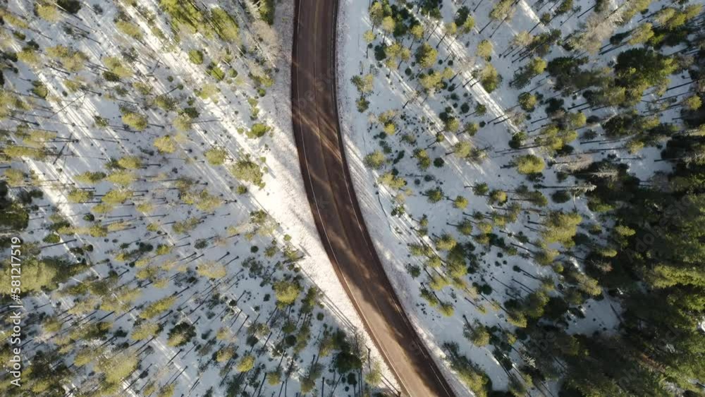 Aerial birds eye view of road in forest outside of Crater Lake National ...