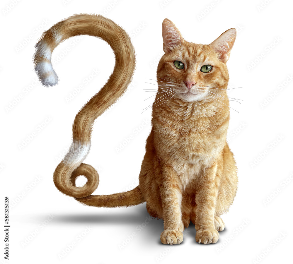 Cat question as a symbol of feline health care and veterinary therapy ...