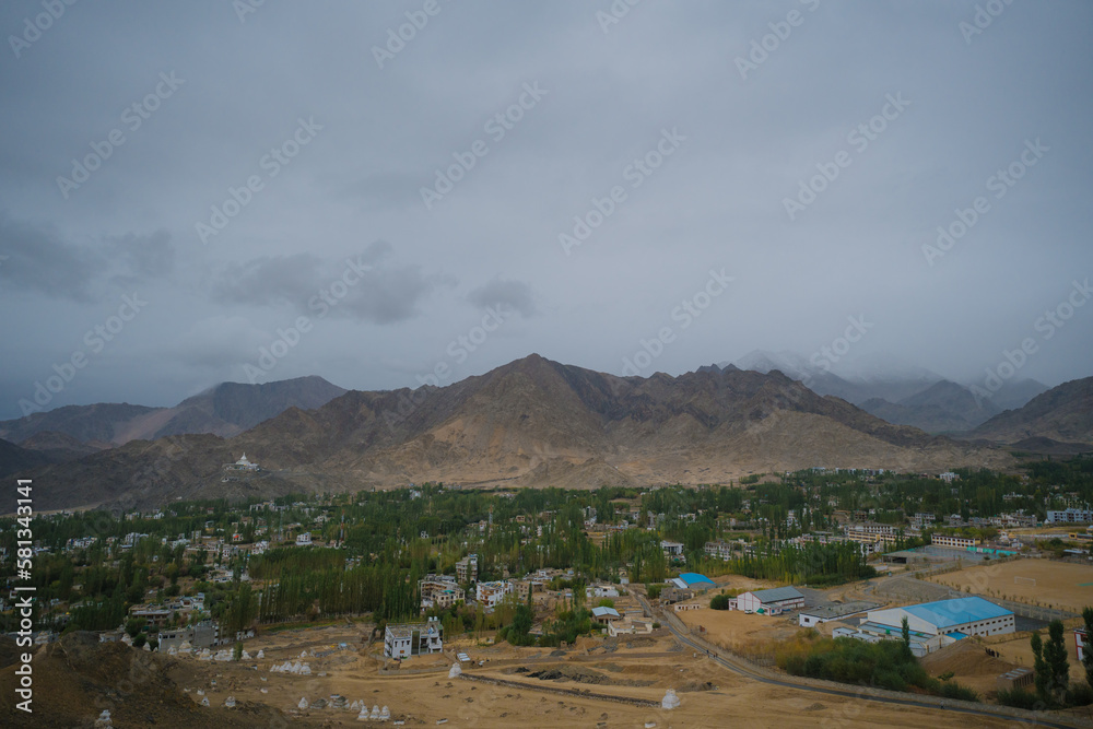 Beautiful landscape with greenery in a village, the background is ...
