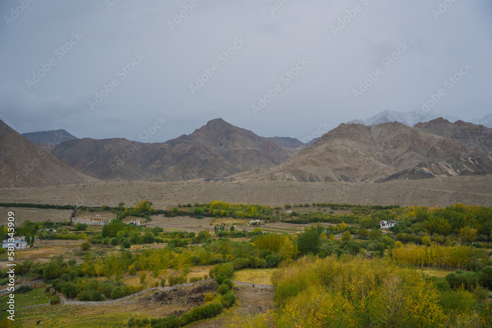 Beautiful landscape with greenery in a village, the background is ...