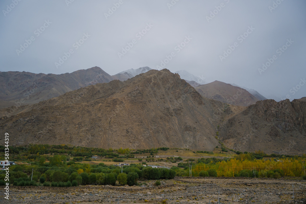 Beautiful landscape with greenery in a village, the background is ...