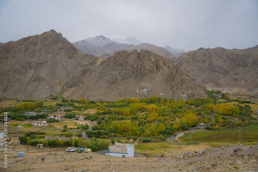 Beautiful landscape with greenery in a village, the background is ...