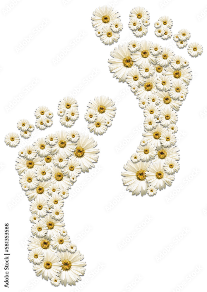 Daisy flowers arranged in footprints (human feet), isolated on white or ...