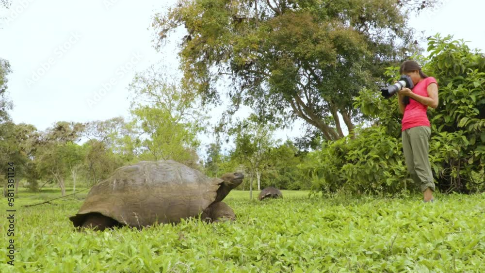 Stockvideo Galapagos Islands Wildlife photographer and tourist taking ...