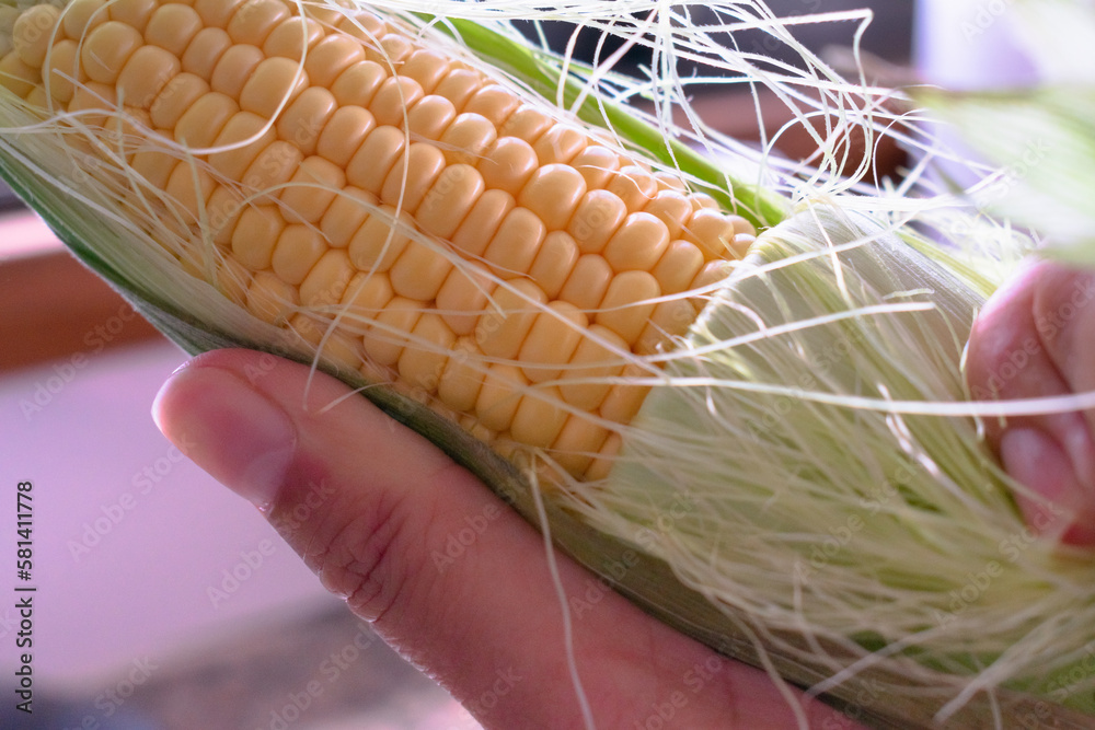 Homestyle Cooking: Mature Woman Hand-Peeling Corn in Her Kitchen Stock ...