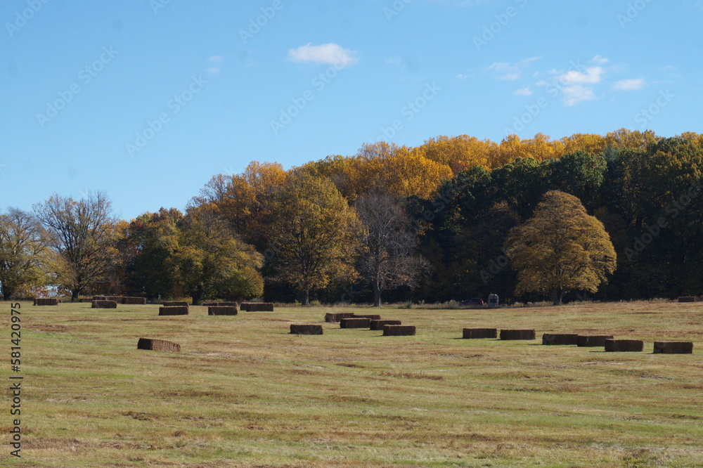 Fall Treeline and Field of Baled Hay Stock Photo | Adobe Stock