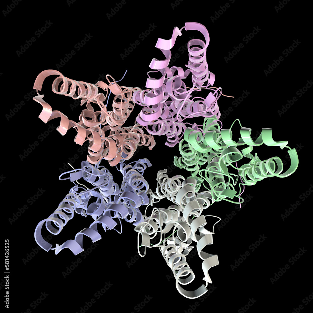 Molecular model of Bestrophin-1 protein Best 1, 3D illustration. A ... Molecular model of Bestrophin-1 protein Best 1, 3D illustration. A ...
