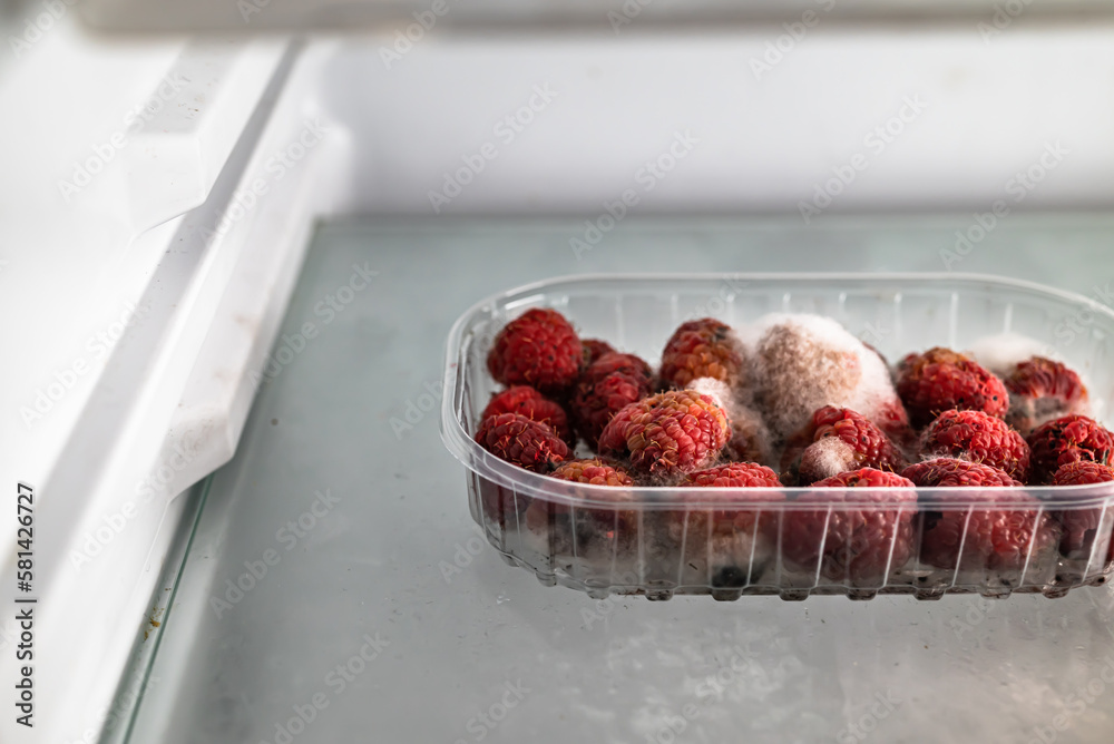 Moldy Raspberries