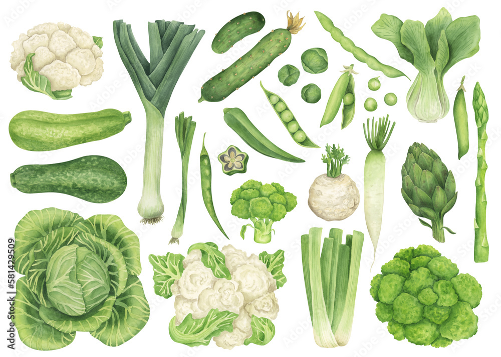 Green vegetables watercolor illustration. Food hand drawn clipart ...