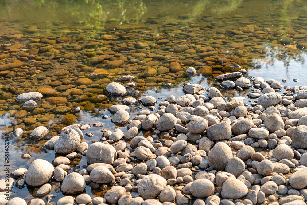 Karimpuzha National Park