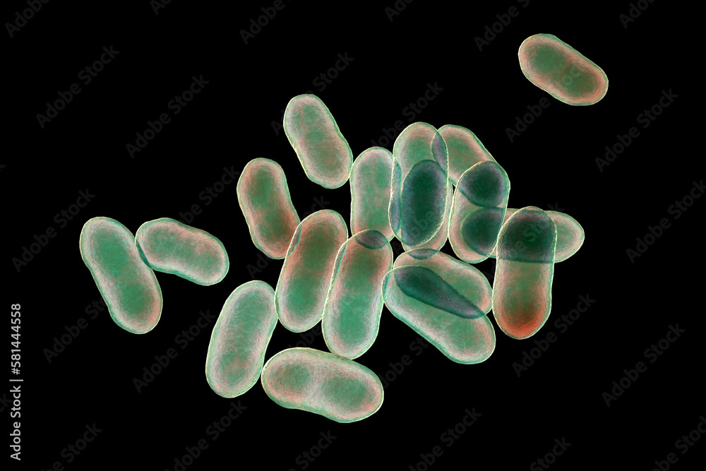 Prevotella bacteria, 3D illustration. Gram-negative anaerobic bacteria ...