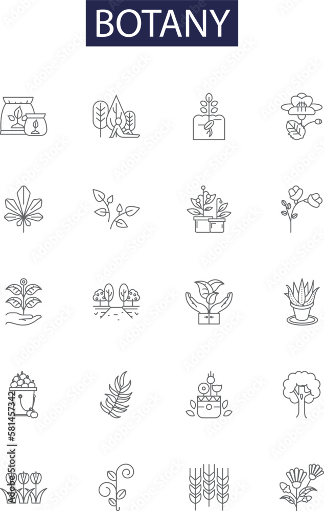 Botany line vector icons and signs. Photosynthesis, Reproduction ...
