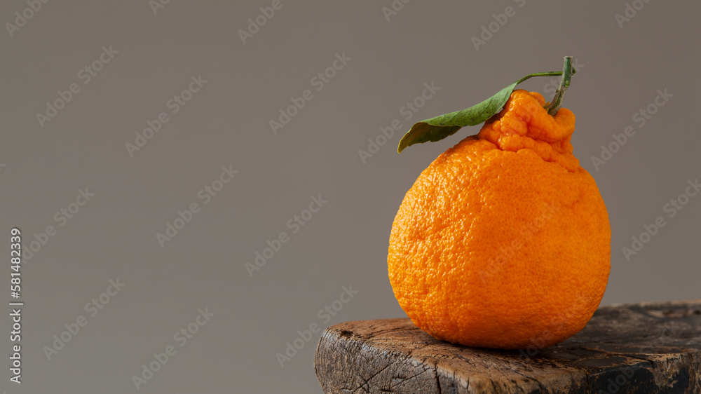 In Jeju Island in Korea, a fruit called Hallabong is cultivated as a ...