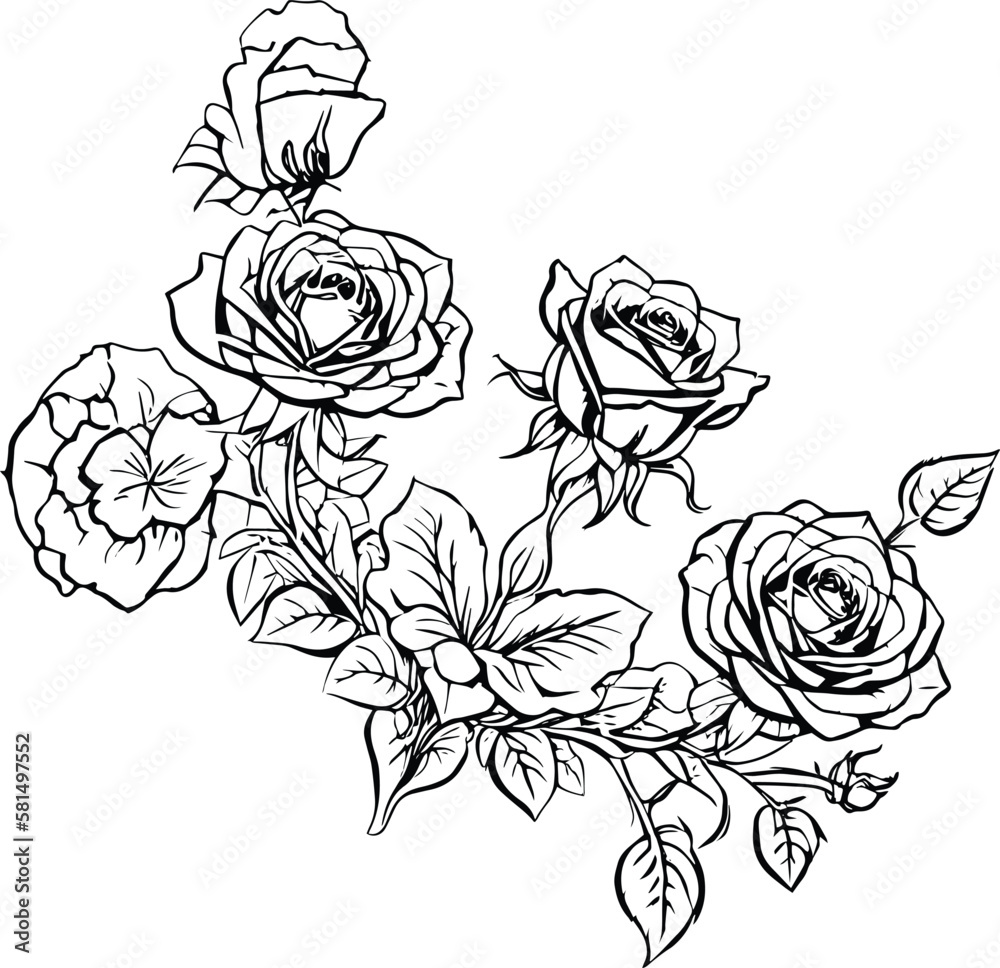 Hand-drawn rose flower, rose flower bouquet, vector sketch illustration ...