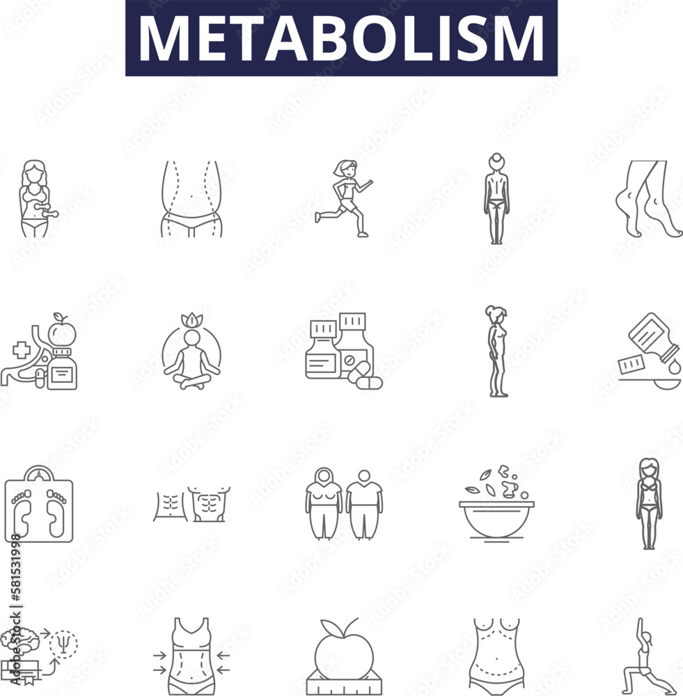 Metabolism line vector icons and signs. Substrate, Respiration, Enzymes ...