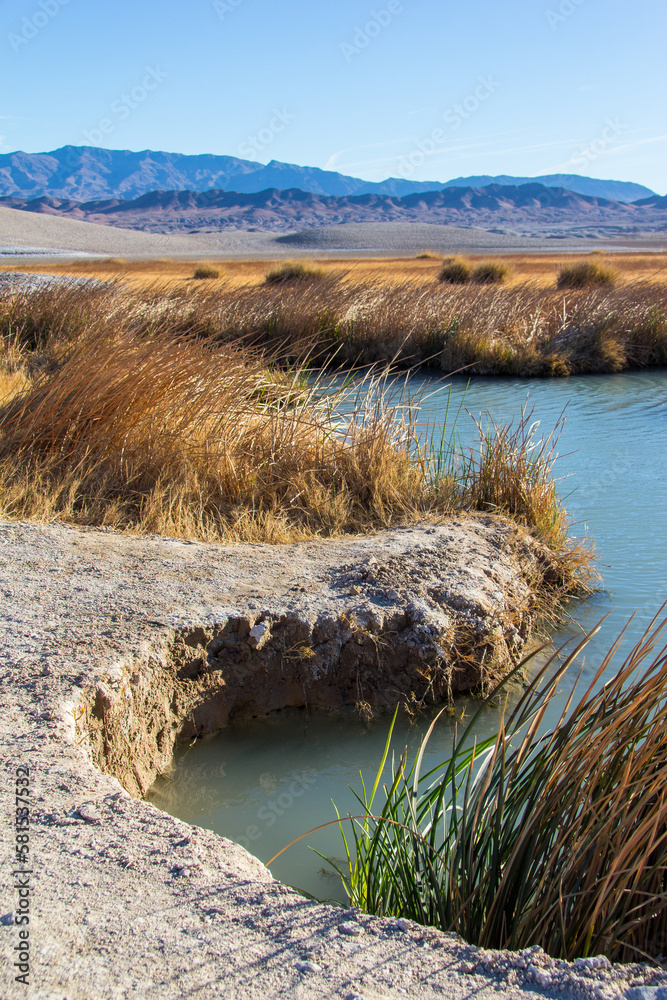 Tecopa hot springs in the Mojave Desert of California near death valley ...