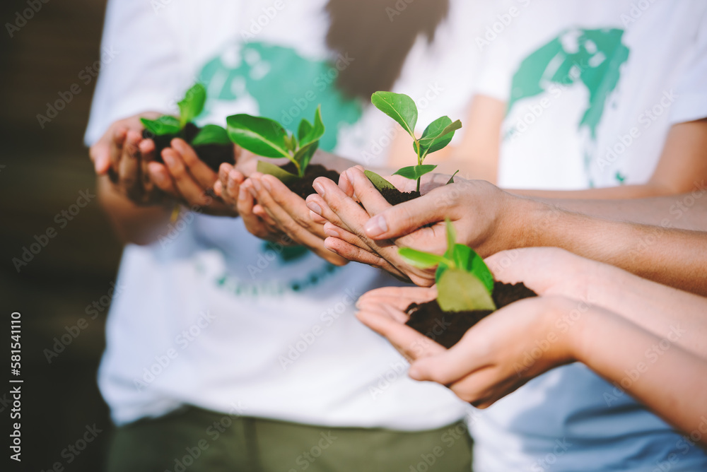 Group of diverse people volunteer conservation teamwork holding small ...