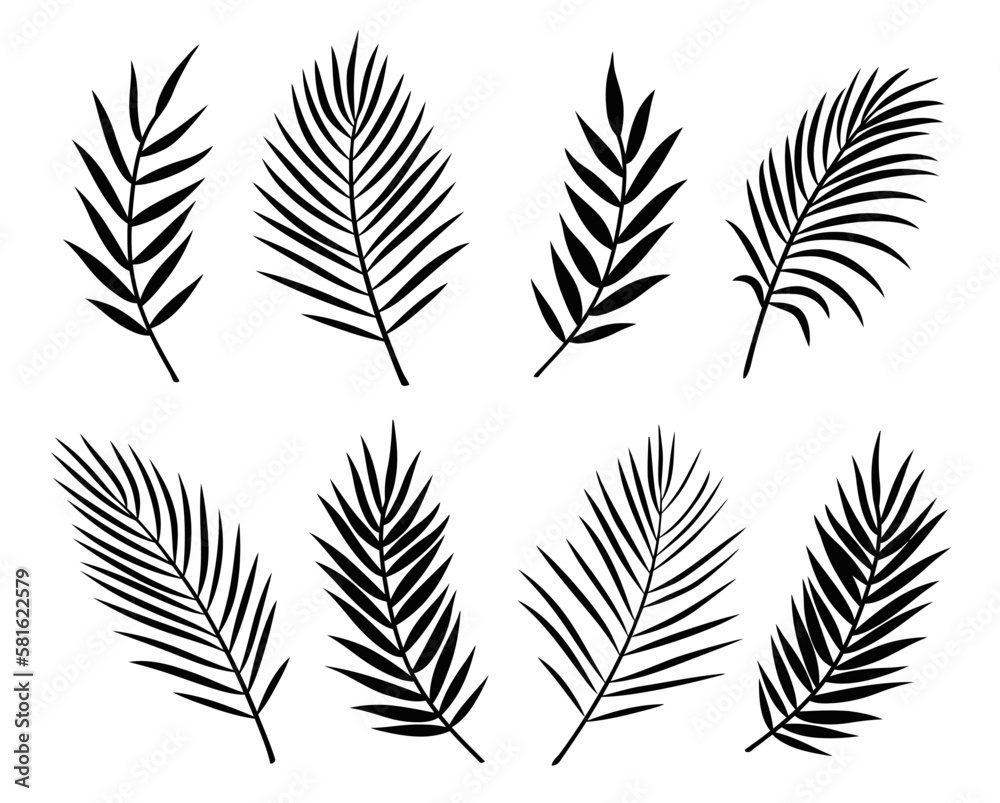 Black isolated palm leaves and branches vector silhouette Ai Stock ...