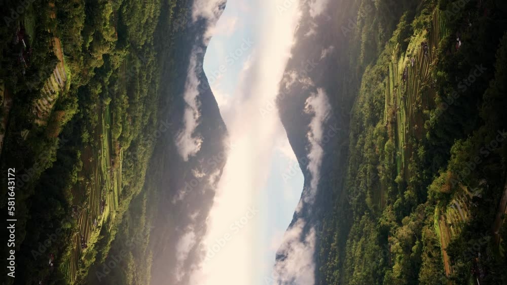Cinematic Aerial View of Agricultural Rice Terraces Parallel Dimension ...