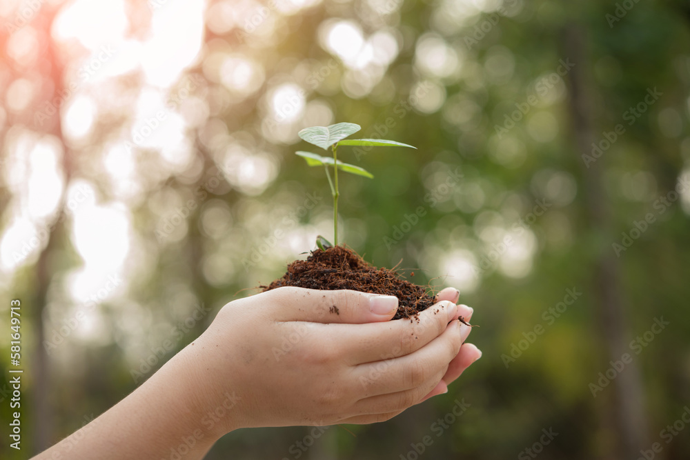 .World environment day concept with girl holding small trees in both ...